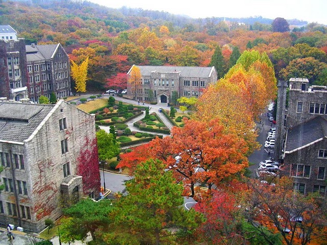 Michelle s Seoul Searching Why Yonsei University michelle-s-seoul-searching-why-yonsei-university