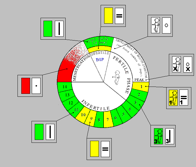 Obs Gyn Natural Methods Of Family Planning Different Types obs-gyn-natural-methods-of-family-planning-different-types