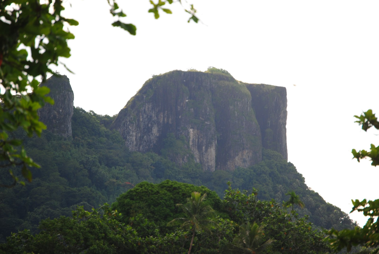 IRIS MICRONESIA: Climbing Sokehs Rock