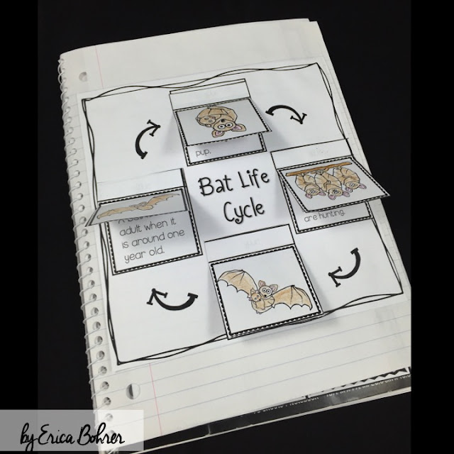 Bats Interactive Science Notebook