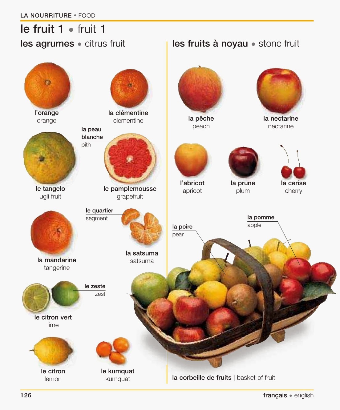 French+English+Bilingual+Visual+Dictionary-p125.jpg (1104×1332 ...