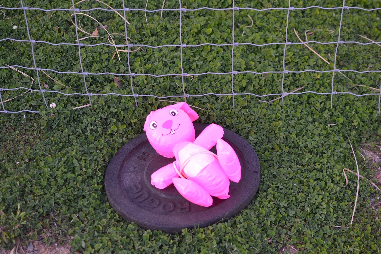 CrossFit KOP: Easter Egg Hunt