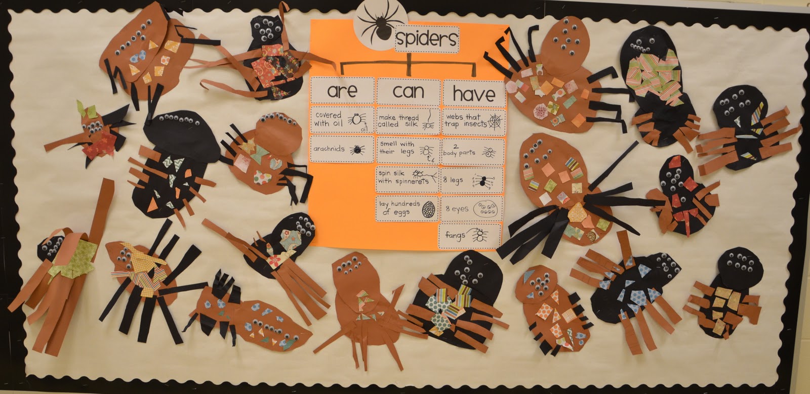 A Place Called Kindergarten: spider research