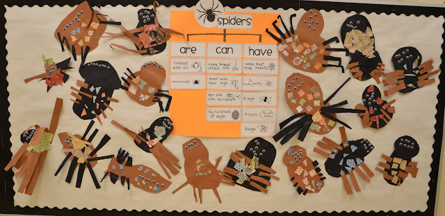 A Place Called Kindergarten: spider research