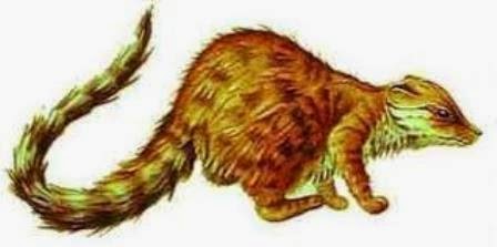 El Kronoscopio: 30 millones de años en la historia del perro (y una historia de amor incondicional)