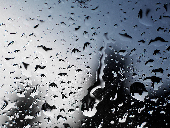 Scott s J Blog Rain Rain Go Away scott-s-j-blog-rain-rain-go-away