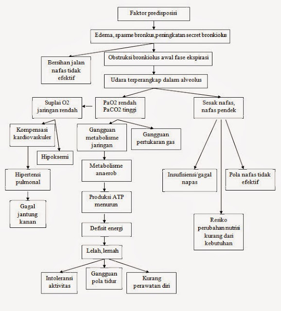 Ilmu Keperawatan dan Kesehatan : LAPORAN PENDAHULUAN PENYAKIT PARU OBSTRUKTIF KRONIK (PPOK)
