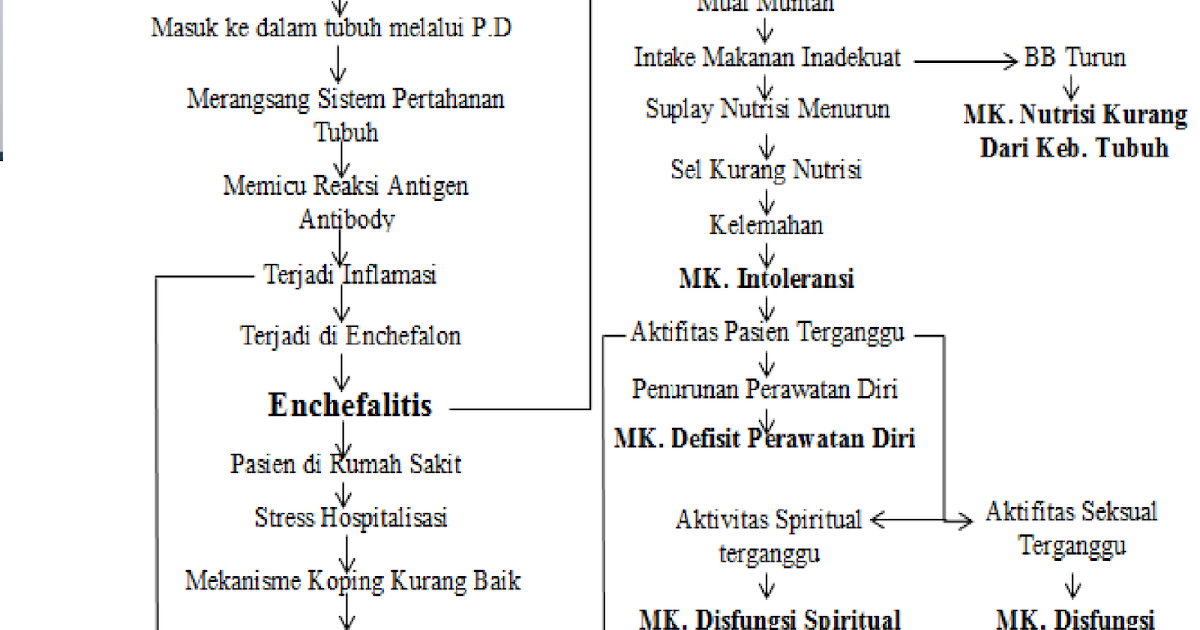 Asuhan Keperawatan: Encephalitis
