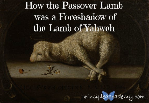 Principle Approach, Bible Principles: Passover: Jesus the Lamb of God