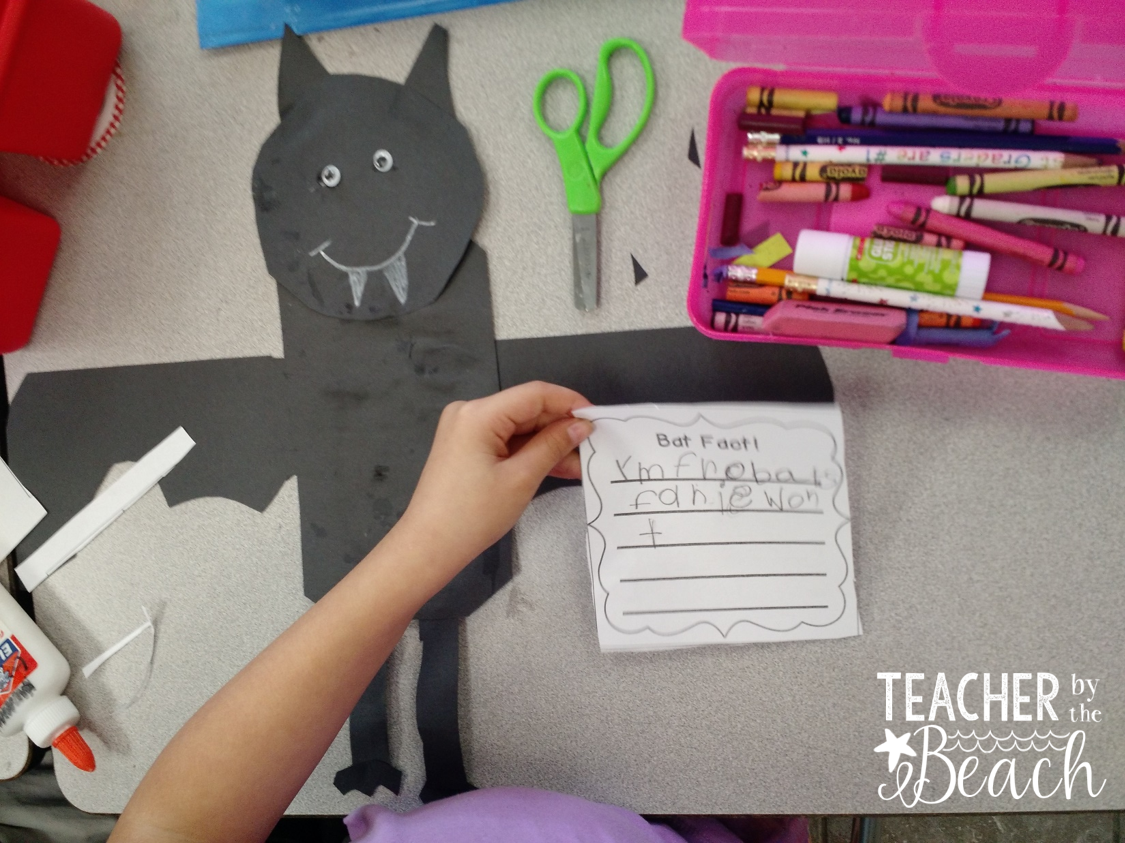 Bat Week - Teacher by the Beach