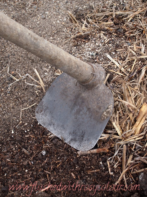 Flushed with Rosy Colour: Old Pa Murphy's Garden Hoe