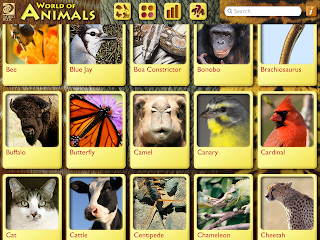 The Connected Teacher : Animal Sorting Center