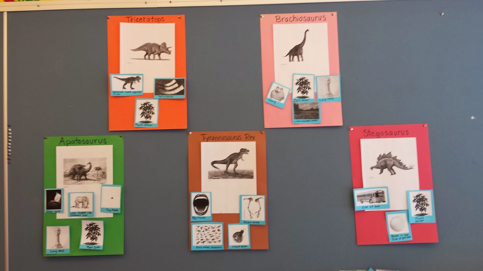 The Classroom Life : Dinosaurs