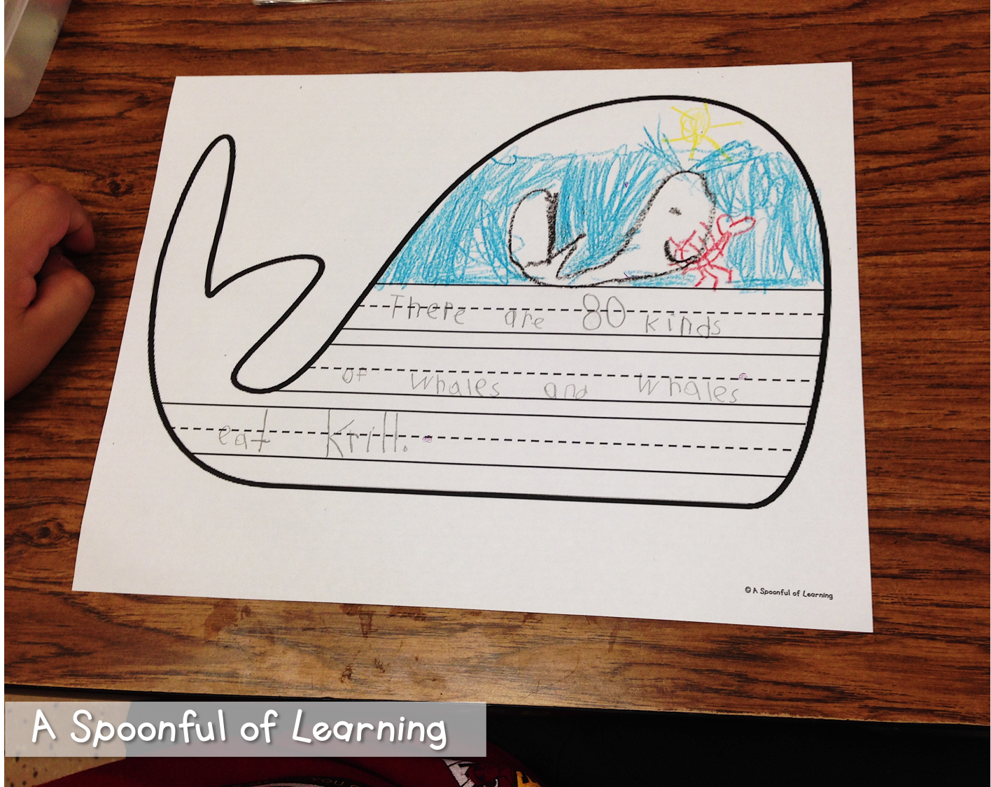 Ocean Unit Study - A Spoonful of Learning