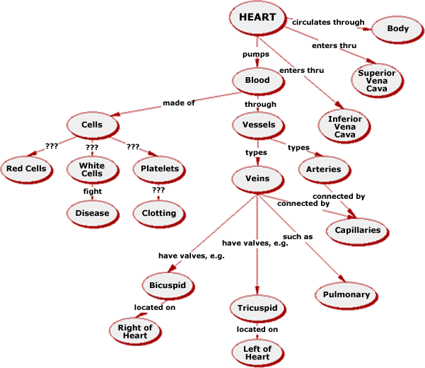 Concept Map Skeletal System Critical Thinking - ALESSAY Concept Map Skeletal System Critical Thinking - ALESSAY