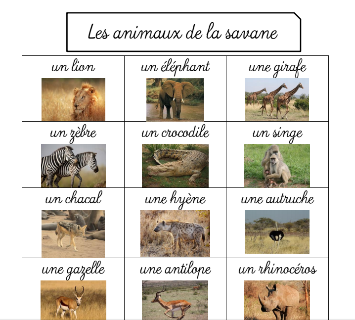 Delfynus - Une maitresse qui vous veut du bien: Les animaux