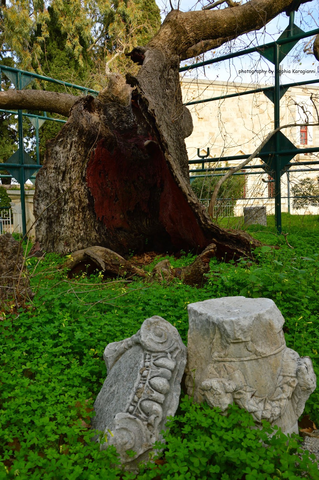 Kos And The Dodecanese Through My Eyes kos-and-the-dodecanese-through-my-eyes
