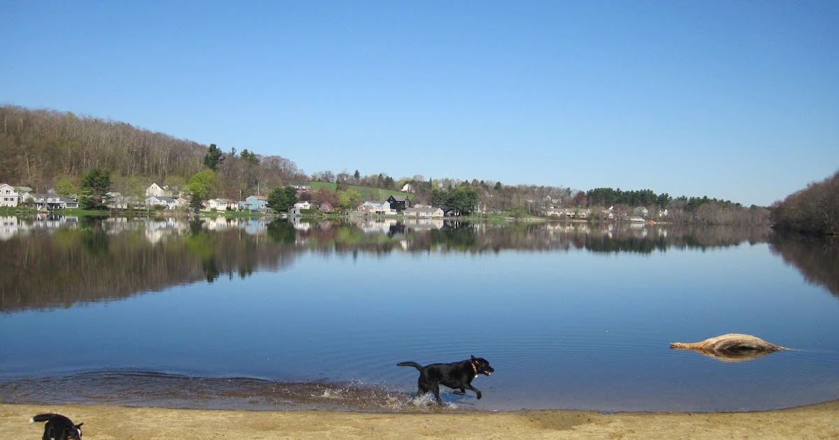 Walking with Dogs in Greater Newburyport: Lake Gardner, Amesbury Walking with Dogs in Greater Newburyport: Lake Gardner, Amesbury