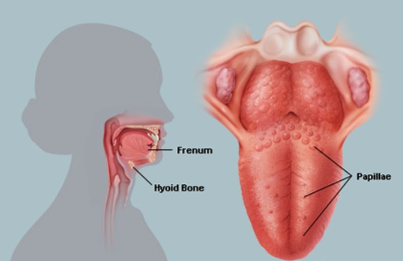 Rough White Patch Under Tongue Kmtodayn6 over blog rough-white-patch-under-tongue-kmtodayn6-over-blog