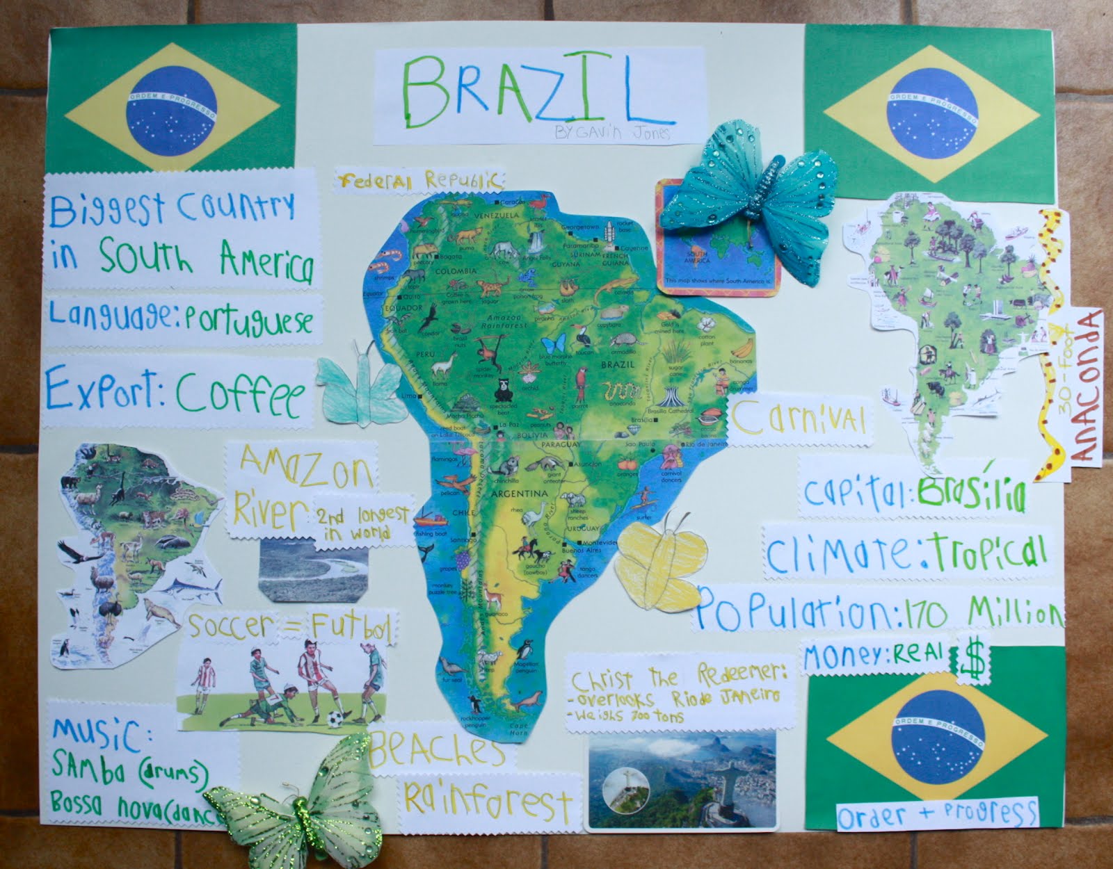 Buby + Bleu: Country Project: Brazil