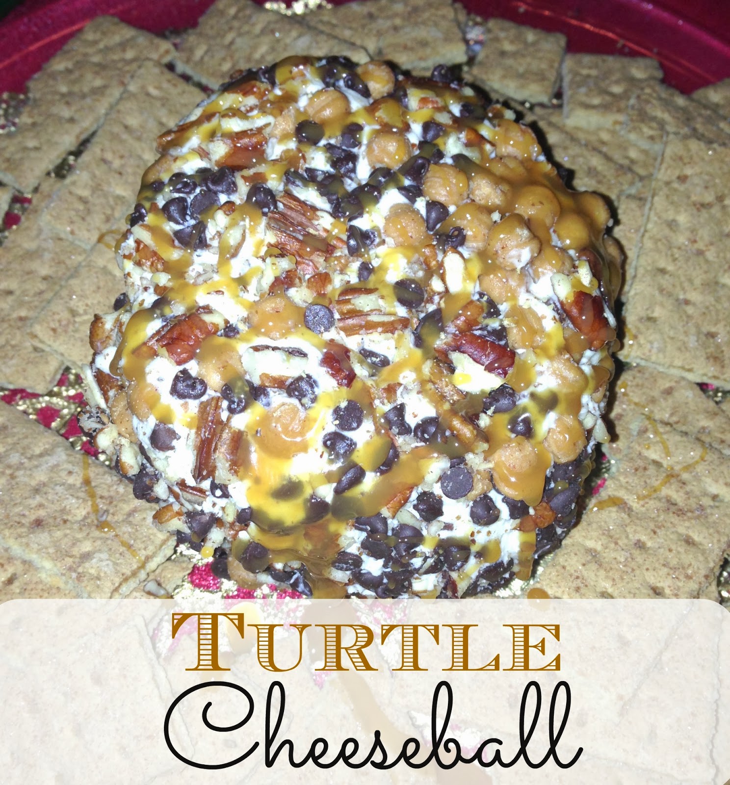 Simply Made With Love Turtle Cheeseball simply-made-with-love-turtle-cheeseball