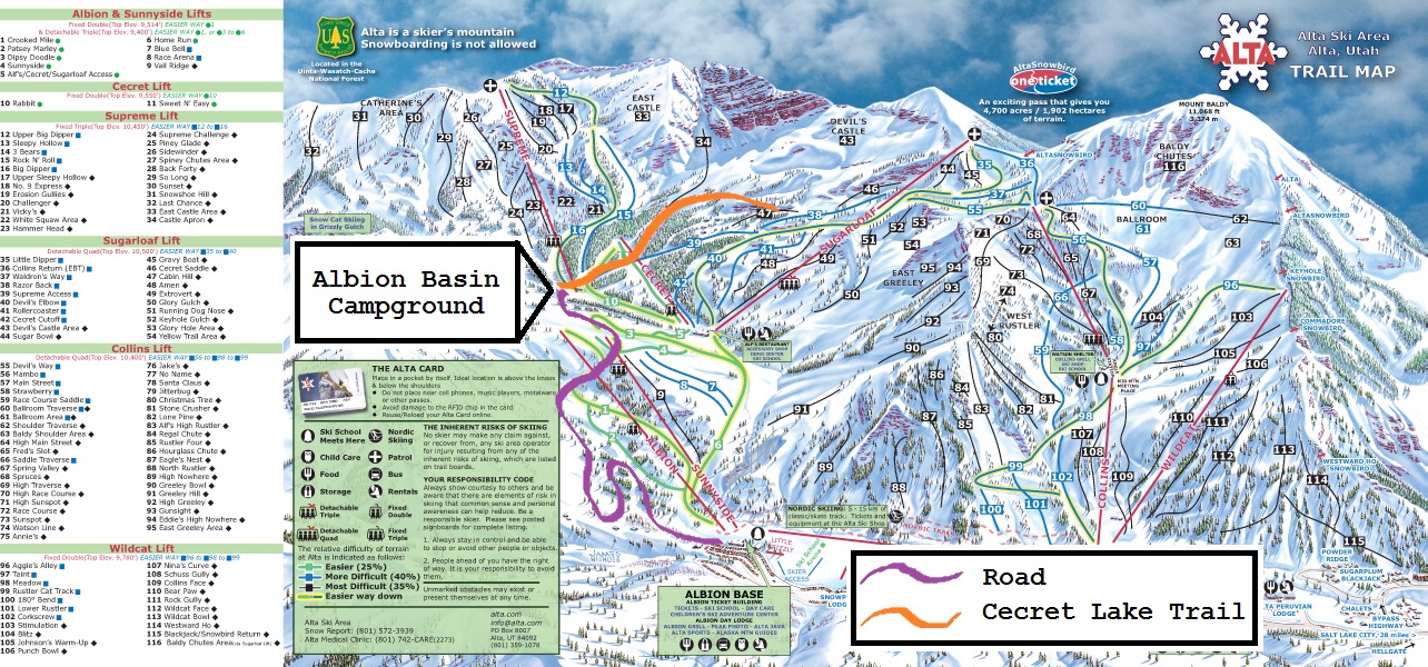 Stobergram: Hiking in the Albion Basin (aka Alta Ski Area)