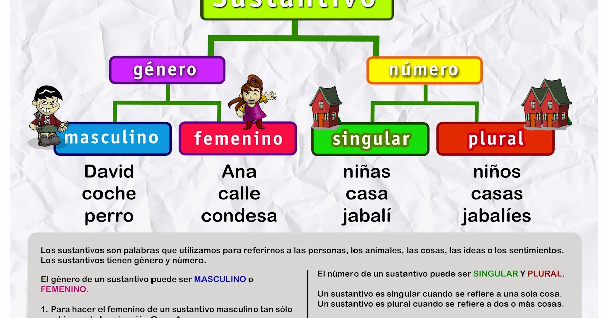 RECURSOS PRIMARIA | Esquema sobre el sustantivo (género y número) ~ La ...