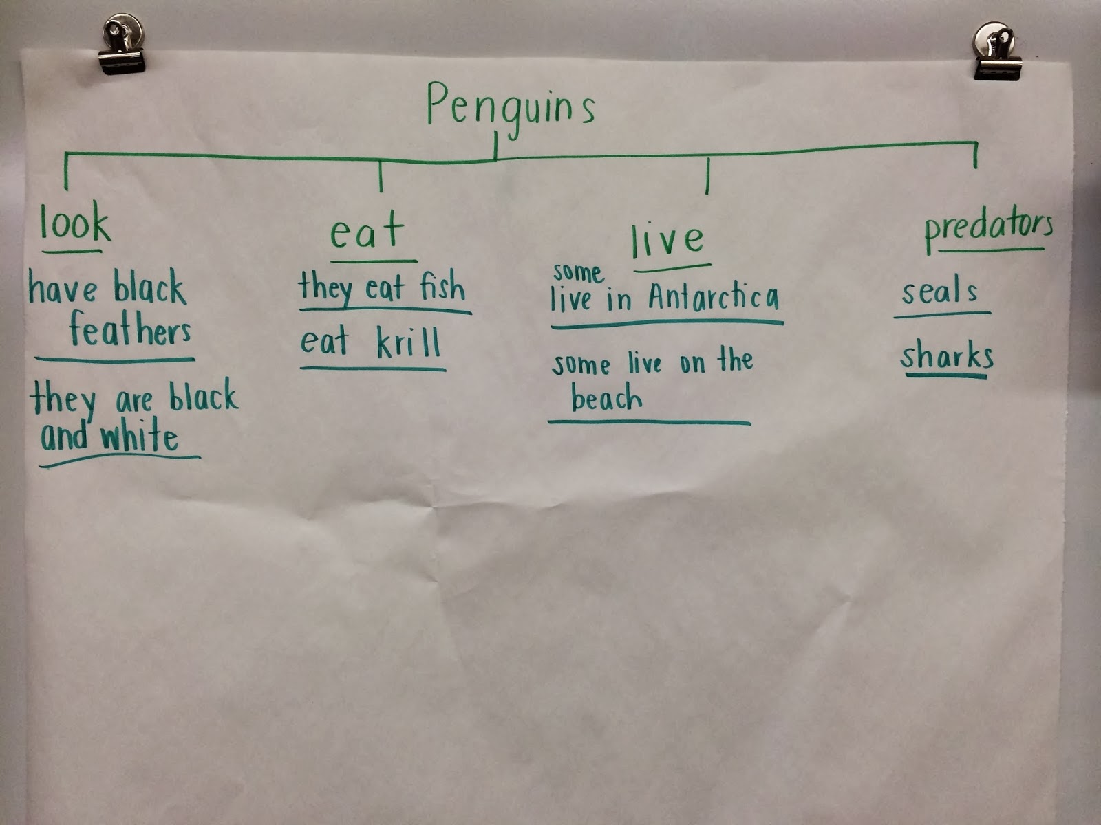 All About Penguins Book - Team J's Classroom Fun