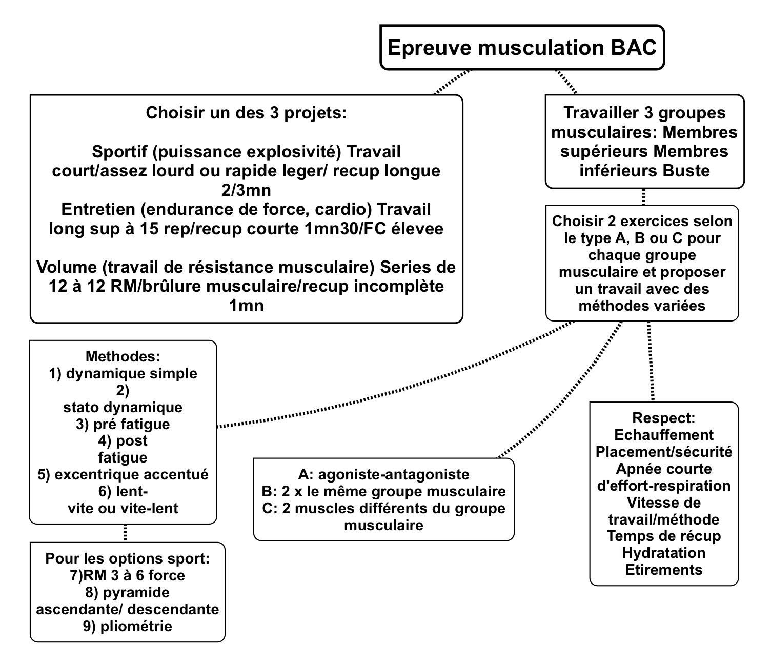 Exemple de corrigé de la tâche complexe : « Battements de cœur - Musculation