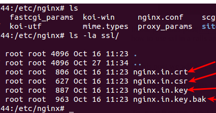 JavaRoots: How To Configure SSL with NGINX IN RAILS