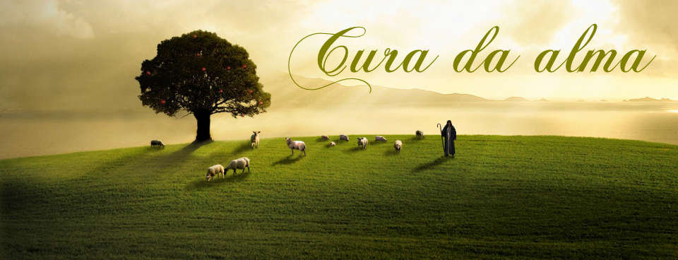 ESTUDOS BÍBLICOS E ASSUNTOS CRISTÃOS: Passos Bíblicos Para Cura da Alma