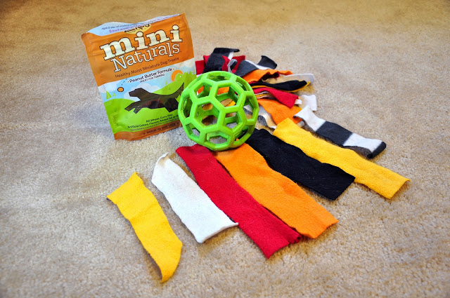 Day In The Life Of A Behavior Trainer Games Mentally Stimulating Brain Games For Dogs day-in-the-life-of-a-behavior-trainer-games-mentally-stimulating-brain-games-for-dogs