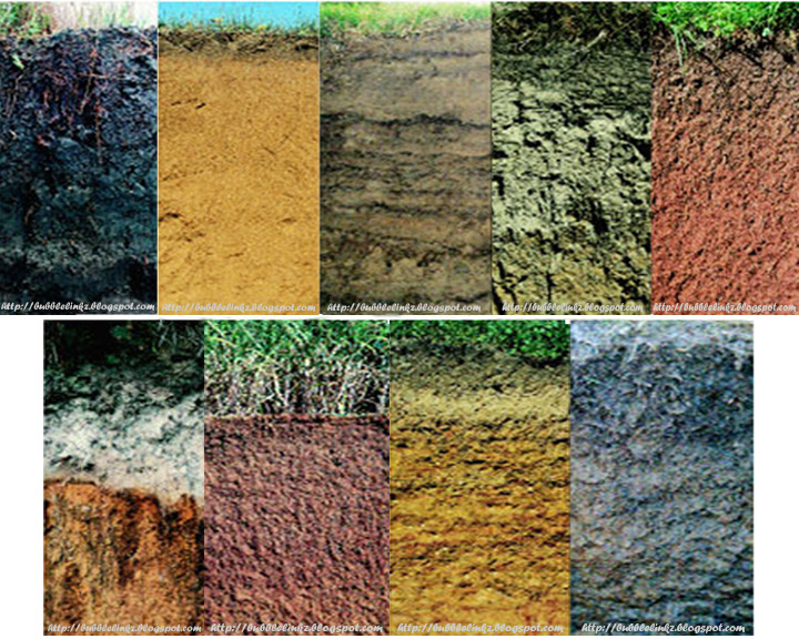 B U B B L E Z S I T E Why Are There Different Kinds Of Soil b-u-b-b-l-e-z-s-i-t-e-why-are-there-different-kinds-of-soil