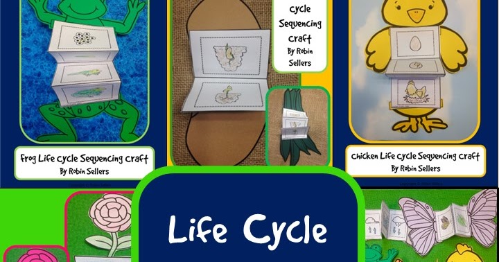 Sweet Tea Classroom: Life Cycle Crafts for Kids