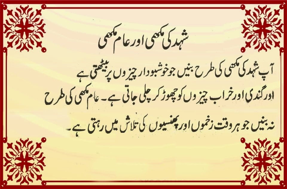 Honey Bee Information Urdu Farming Honey Bee Poem Urdu 2014 2015 honey-bee-information-urdu-farming-honey-bee-poem-urdu-2014-2015