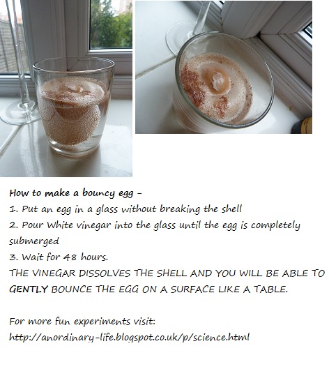 An Ordinary Life : Science: How to make a bouncy egg!