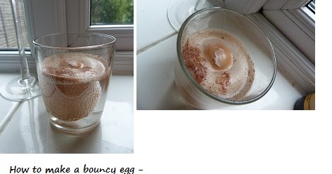 An Ordinary Life : Science: How to make a bouncy egg!