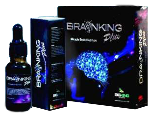 BRAINKING PLUS