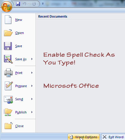 Ms word document not spell checking - owllassaMy Site
