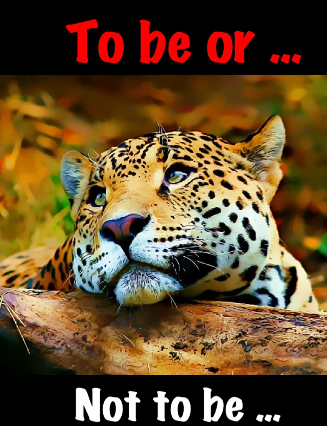 Amazing Pictures with Words