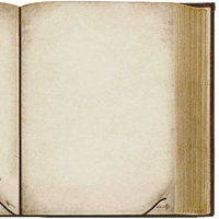 Kereru Kids: 50 Word Short Story Challenge