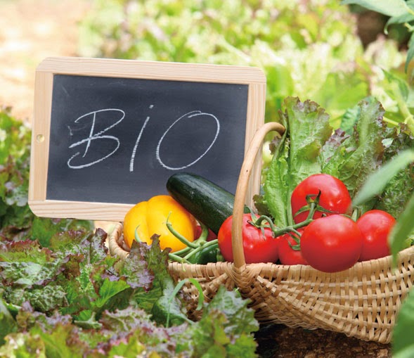 NELLE MENSE PUBBLICHE SICILIANE SOLO PRODOTTI BIOLOGICI E A KM 0 - MAGAZINE PAUSA CAFFE'