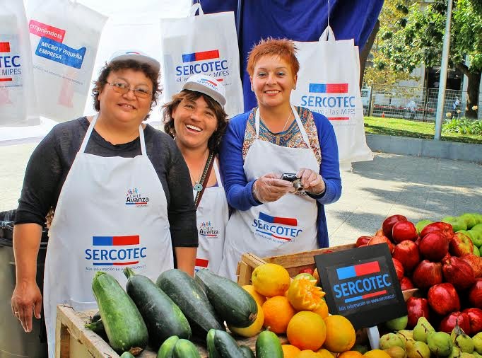 Así Surgen...: NOTICIAS SERCOTEC