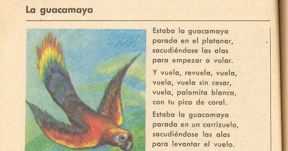 Libros de Primaria de los 80's: La guacamaya - Español Ej. y Lec. 4to grado