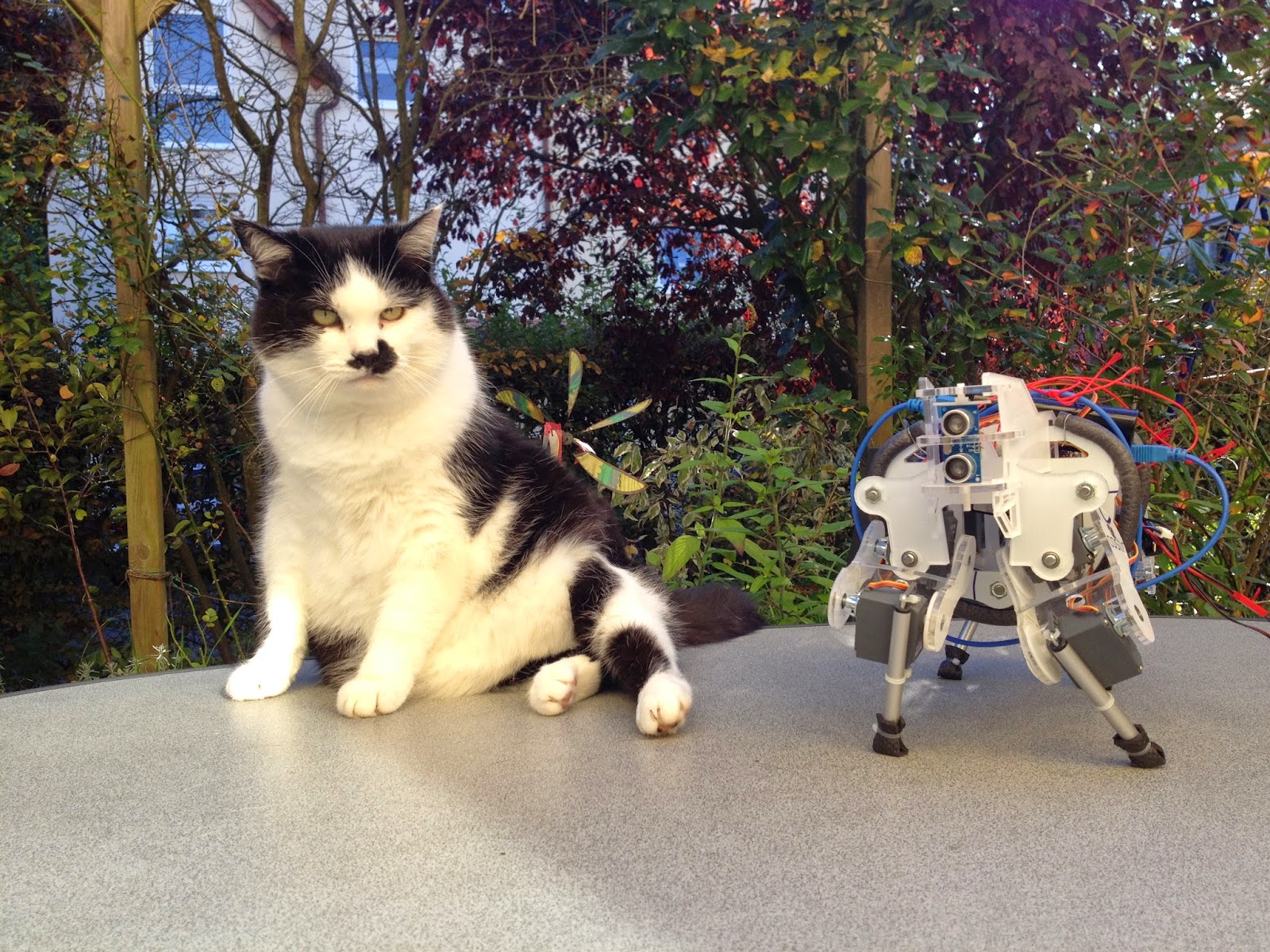 Coretech Robotics: A simple Quadruped Robot Coretech Robotics: A simple Quadruped Robot