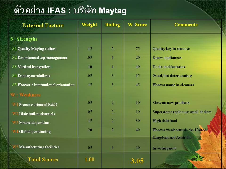 beckkoy: ตาราง EFAS IFAS