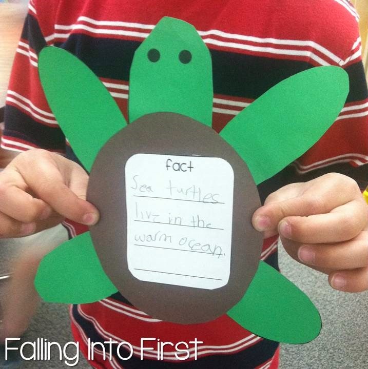 Turtle Close Read Freebie | Falling into First