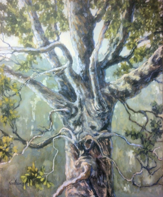 Tree Painter Trunk And Limbs tree-painter-trunk-and-limbs