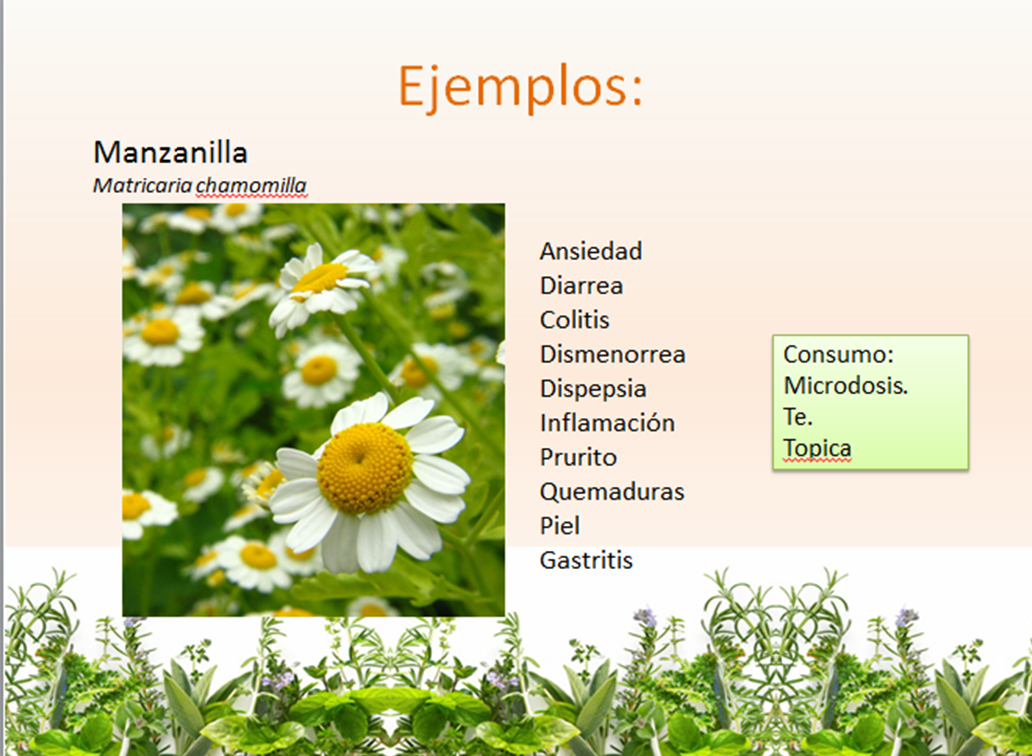 Plantas Medicinales: presentación en power point