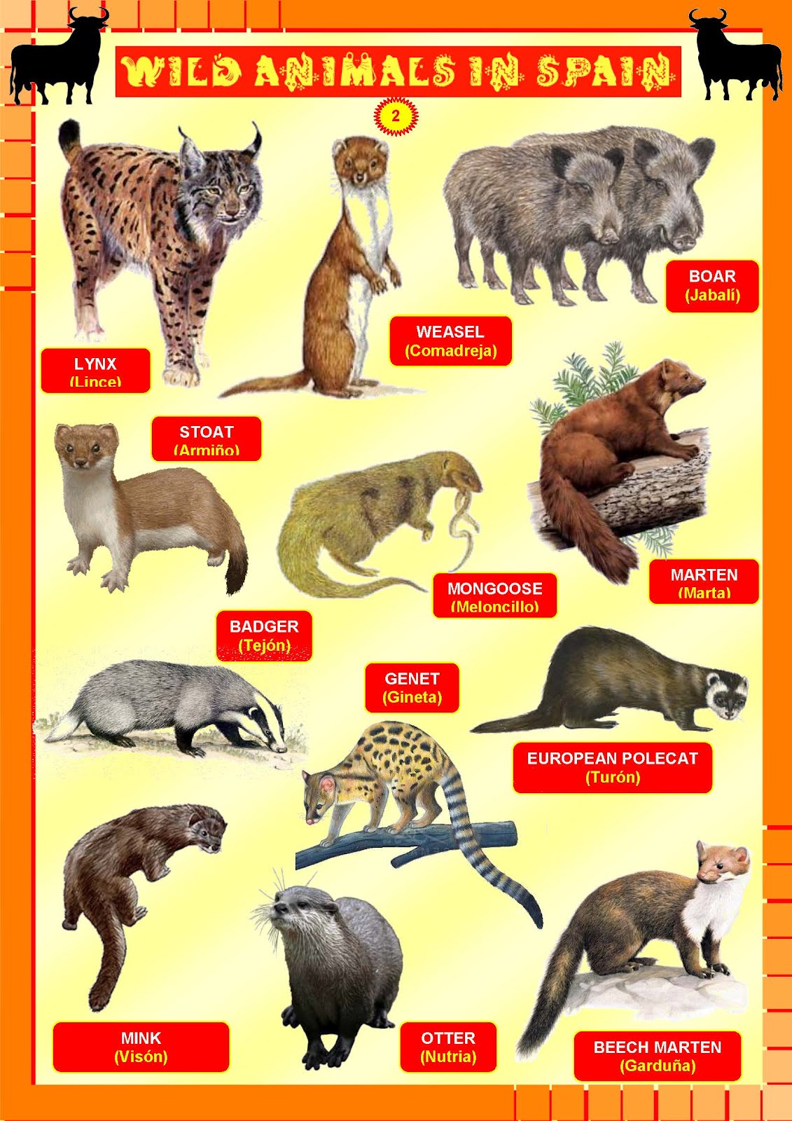 BILINGUAL AL YUSSANA WILD ANIMALS IN SPAIN bilingual-al-yussana-wild-animals-in-spain
